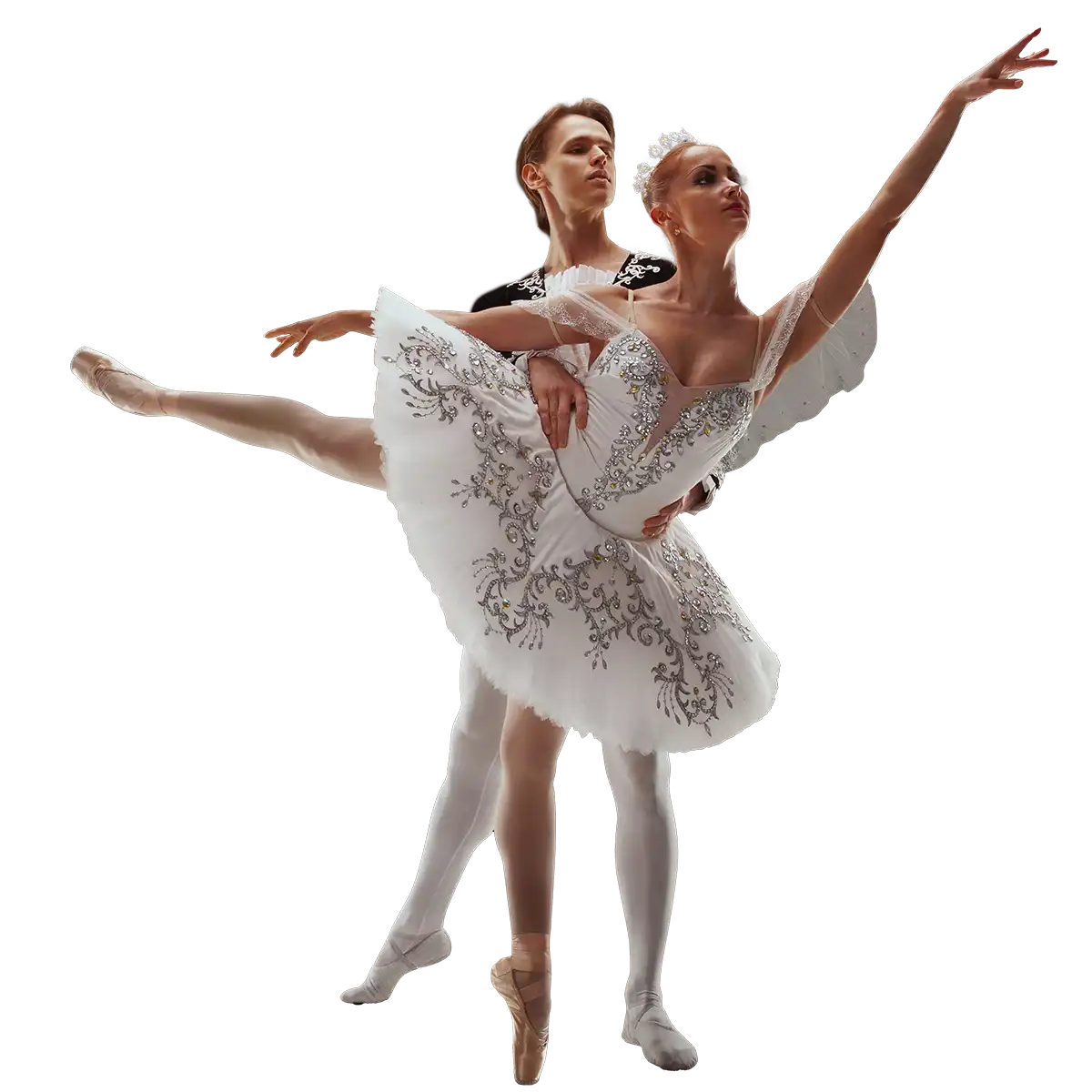 Who We Serve | The Arts - Padrón & Co.